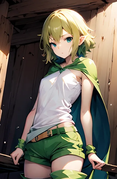 Ryu Lion - Modelo SeaArt AI