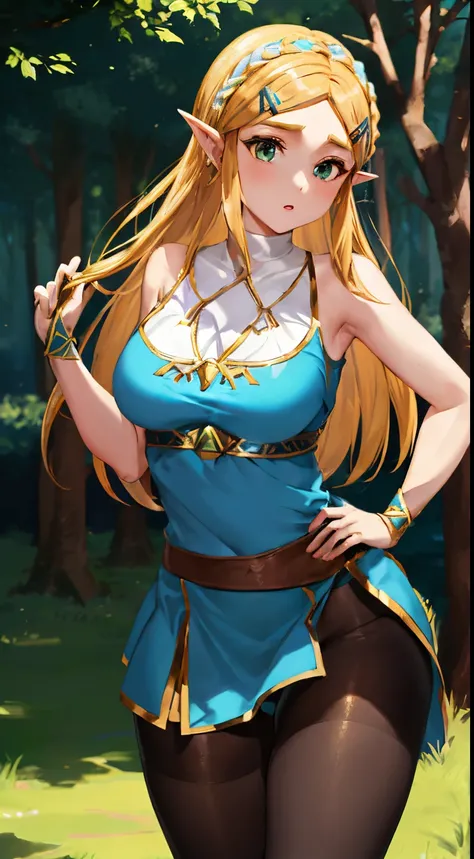 Zelda (BotW, TotK) - SeaArt AIモデル