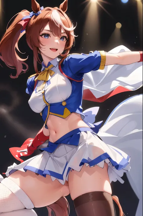 Tokaiteio 東海帝王 Umamusume Seaart Ai模型