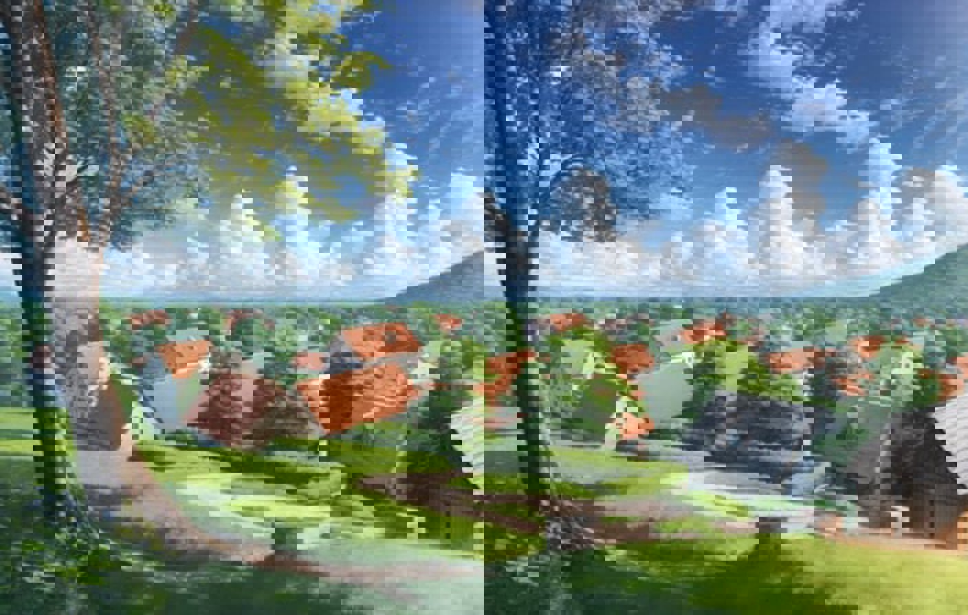 Anime scenery of a village with a tree and a path - SeaArt AI